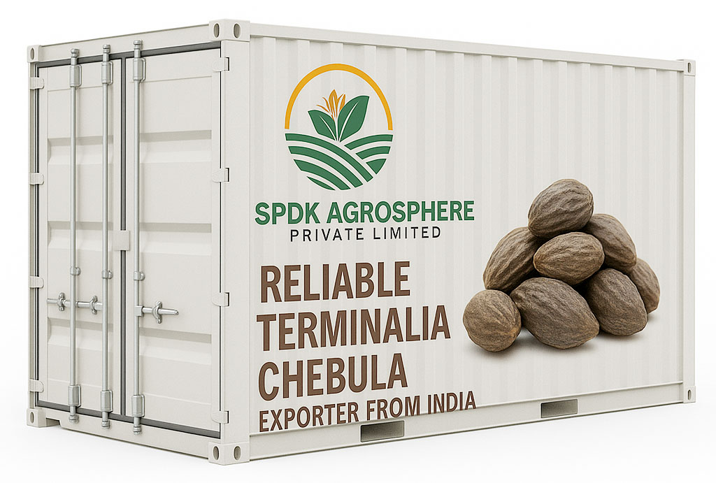 Reliable Terminalia Chebula Exporter from India | Premium Terminalia ...